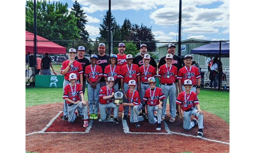 Clackamas Junior Baseball Organization > Home